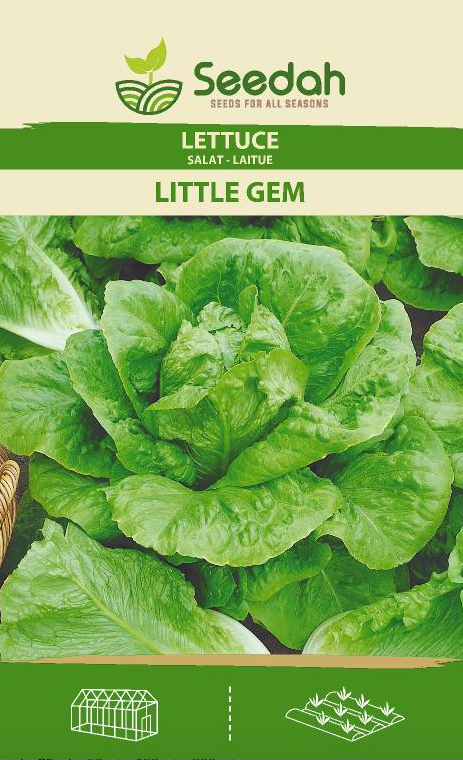 LETTUCE SEEDS- LITTLE GEM - mini cos variety | Seedah